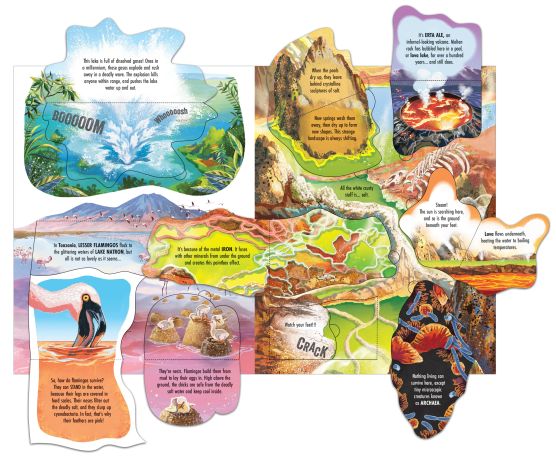 Usborne See Inside See Inside Wild Places